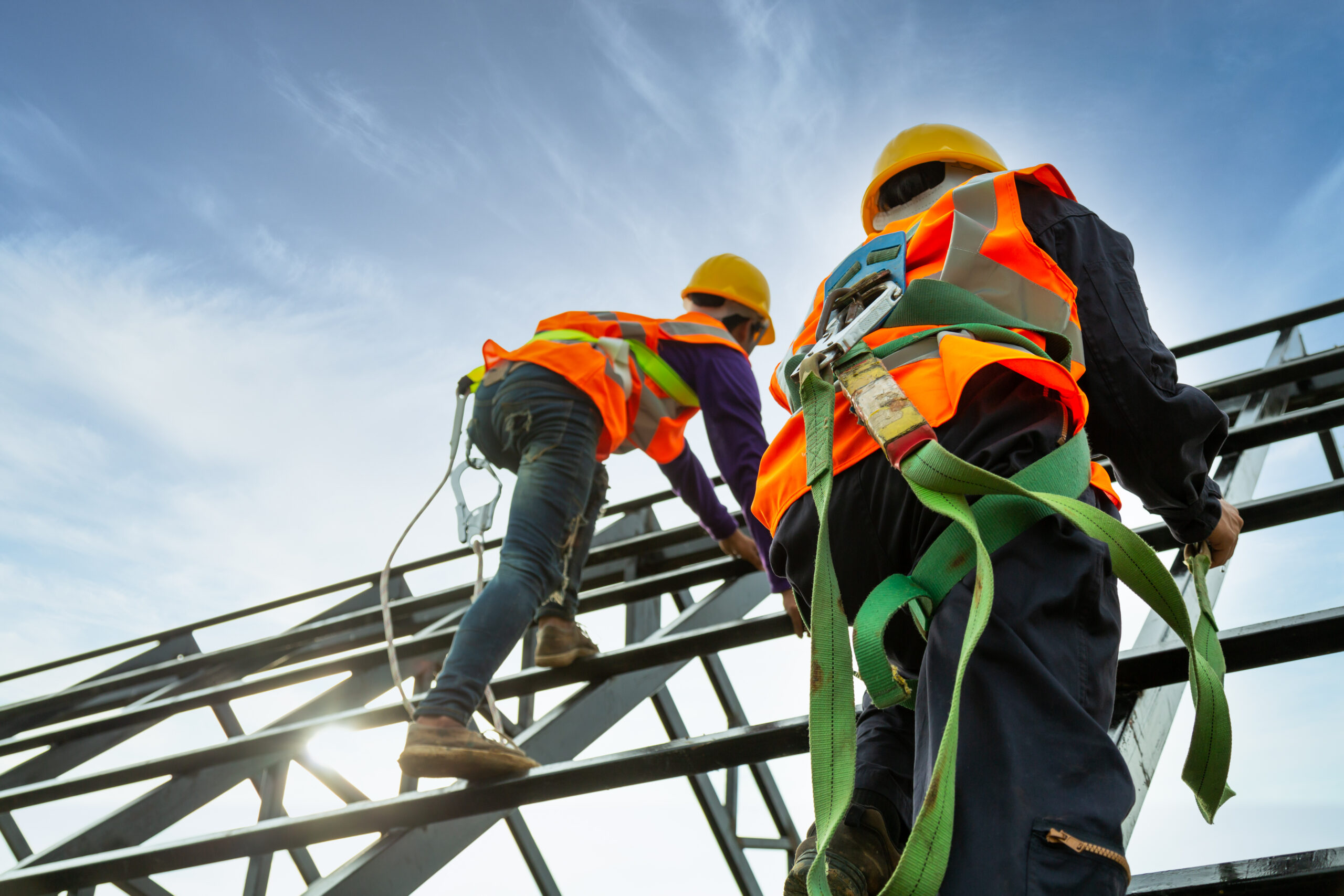 Surviving a Fall from Scaffolding: Who is to Blame?